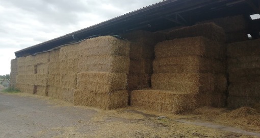 Prevent Agri | Hoe voorkom ik brand op mijn landbouwbedrijf?